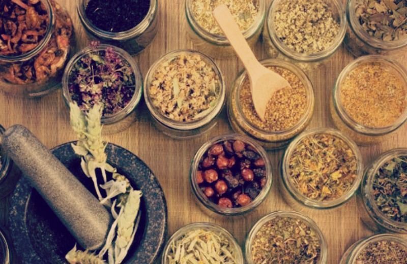 Medicina natural: 6 plantas medicinales que debes conocer
